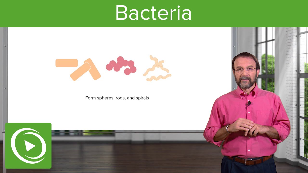 What is Bacteria? Structure & Types, Prof. Dr. Vincent Racaniello ... What is Bacteria? Structure & Types, Prof. Dr. Vincent Racaniello ...